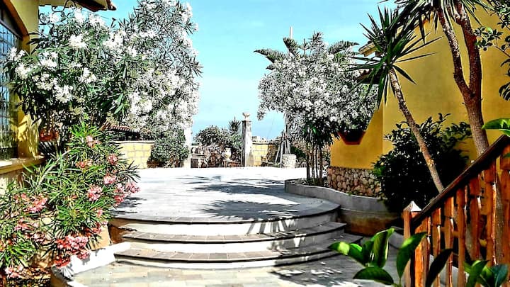 Il Paradiso All'improvviso - Lampedusa