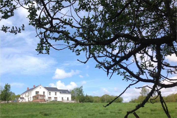 Penddaulwyn Uchaf Farm @ Carmarthenshire - Carmarthen