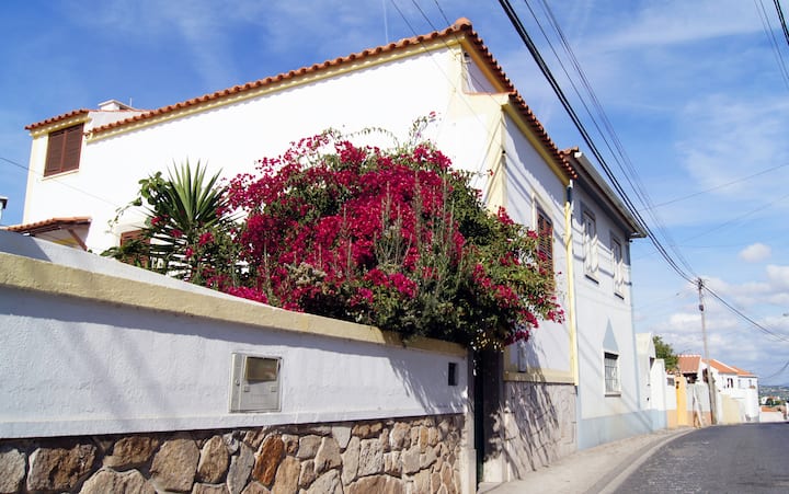 Family House Near Adraga - Colares