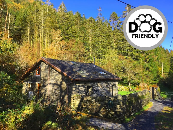Fronwen Lodge- Ideal For Couples, Groups, Families - Machynlleth