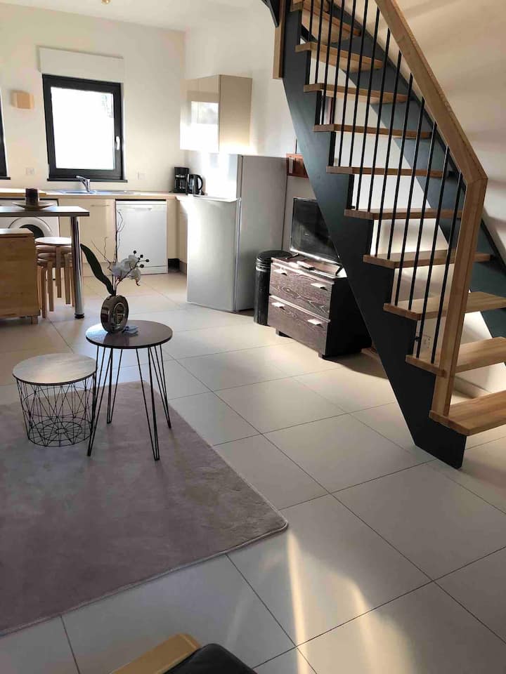 Belle Maison D’architecte Campagne Proche Ville - Poissy