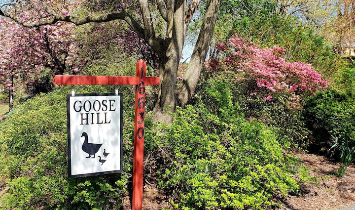 Goose Hill - Walsh Family Wine, Purcellville