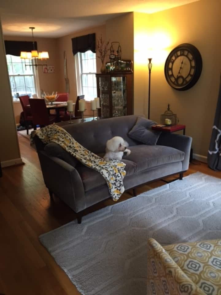 Cozy And Quiet Spot - Arlington, VA