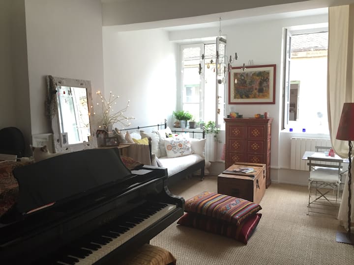 Appartement Centre Historique - Chalon-sur-Saône