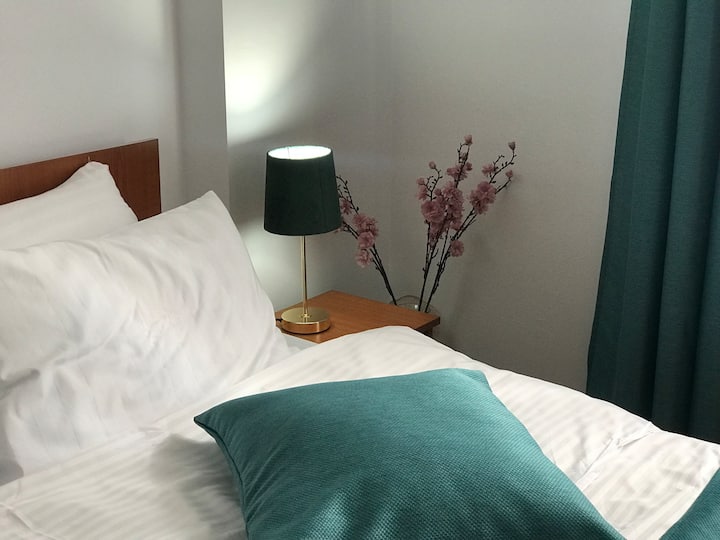 Fully Furnished Spacious 2bedroom Apartment Centrl - Bucharest