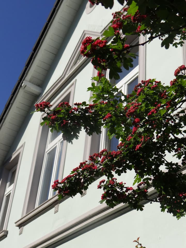 Ferienwohnung Klara - Oldenburg