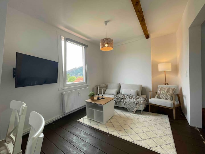 Helles Und Gemütliches Apartment - Clausthal-Zellerfeld