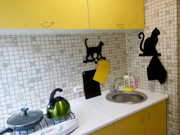 Уютные 1 комнатные апартаменты для ВАС. Романтик. - Kiev