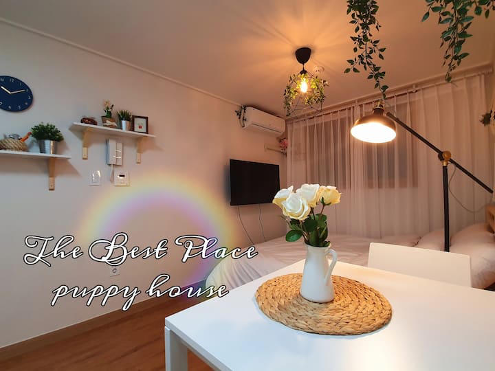 ♥New Open♥ Puppy House(netflix) 건대역,커먼그라운드 도보3분 - 코엑스몰
