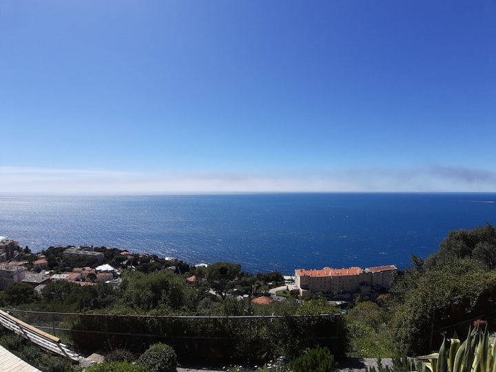 Costa Plana -Apt326 - Cap-d'Ail