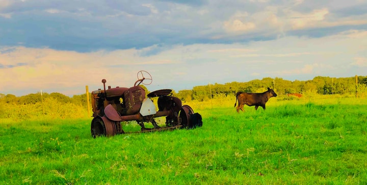 Moonridge Ranch - Milano, TX