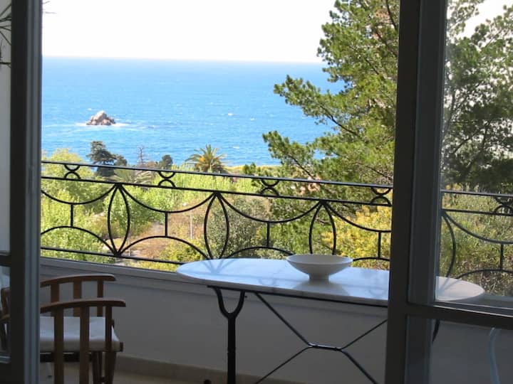 Appartement Cosy 😬 Très Lumineux Et Au Calme 😴 - Ajaccio