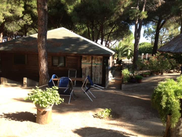 Bungalow 2 Personnes - Calvi