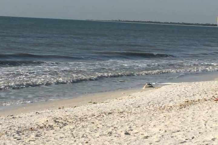 Beautiful Condo Near The Best Beach - Marco Island, FL