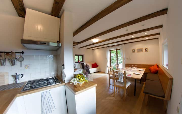 Cottage Dober Dan - Slovenia