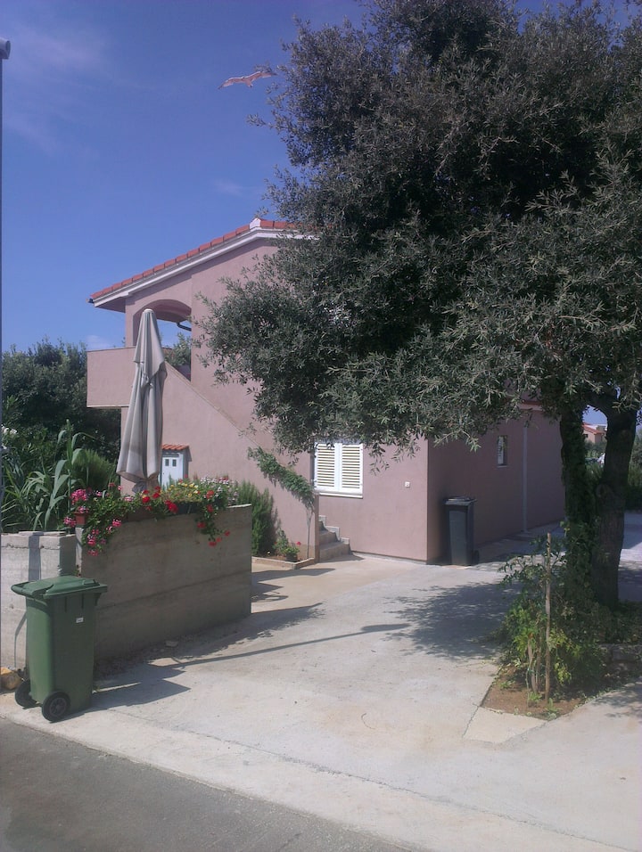 Apartment Stipic 2 - Mandre