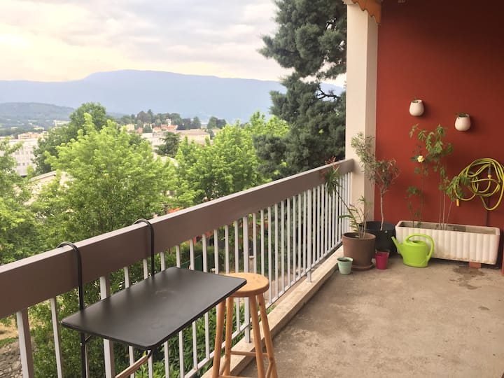 Bel Appartement Vue Montagne - Chambéry