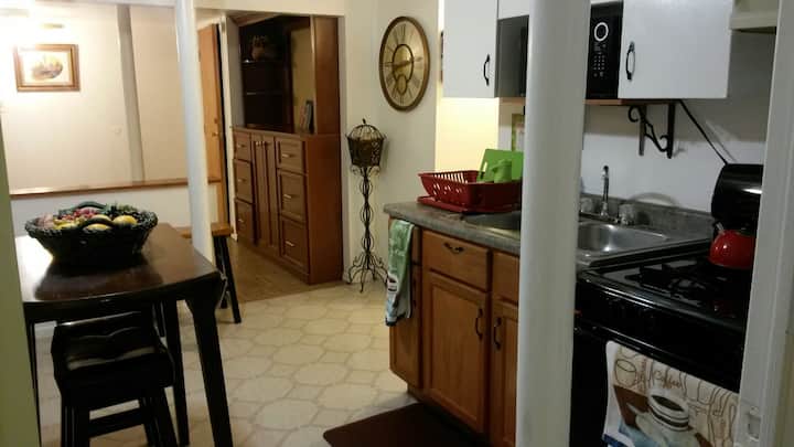 Pilsen, Chicago Private Full Apartment - Chicago