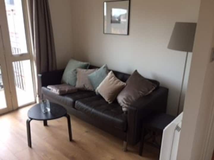 Luxury 2 Bed Apt Near Trinity & Grafton Street. - Dublin