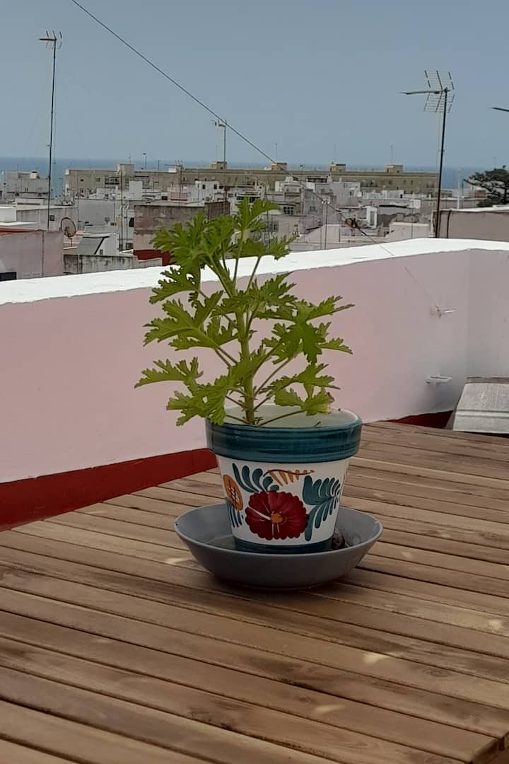 Cozy Attic/studio With Terrace In The City Centre - Cádiz