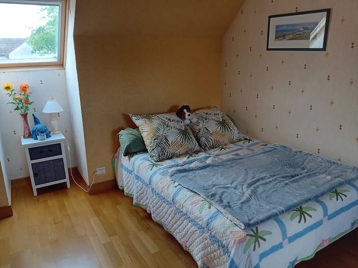 Location Blois 4 Voyageurs 2 Chambres (Maison Ind) - Blois