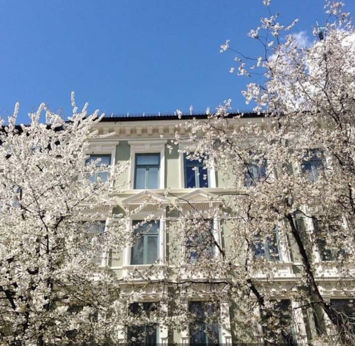 Classic Apartment With Parking Near City Center - Oslo