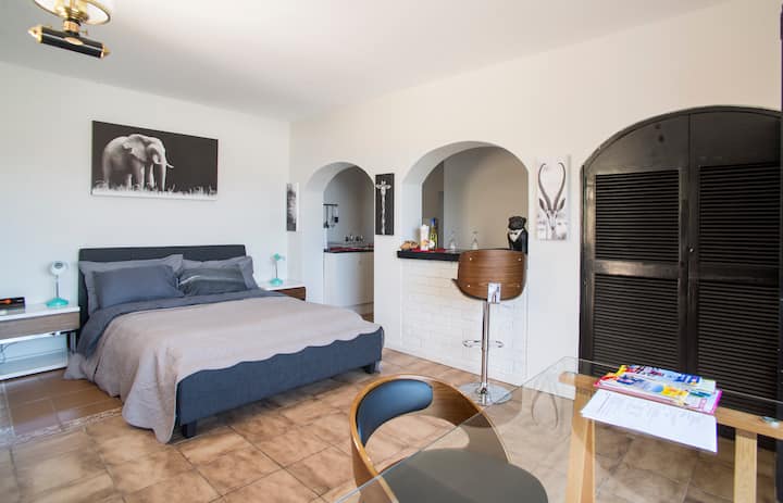 Camps Bay Independent Studio Flat (Mountain Room) - Cape Town