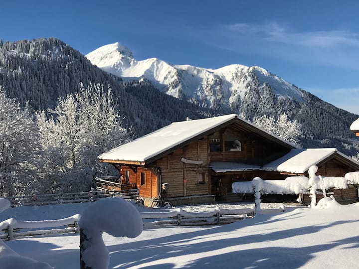 Très Beau Chalet En Bois à Chatel - Châtel