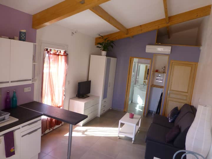 Studio Cosy Avec Jardin (Tarif Spécial Curistes) - Balaruc-le-Vieux