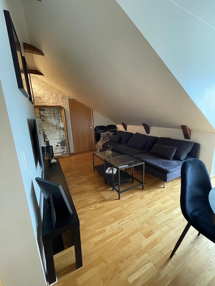 2-room  Attic Apartment 15 Min Walk  To The Beach - Malmö