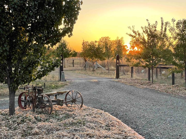 Maple Lane Farm Stay - Benalla