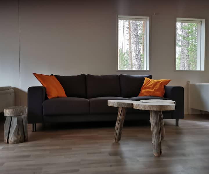 Villa Starling - Inari
