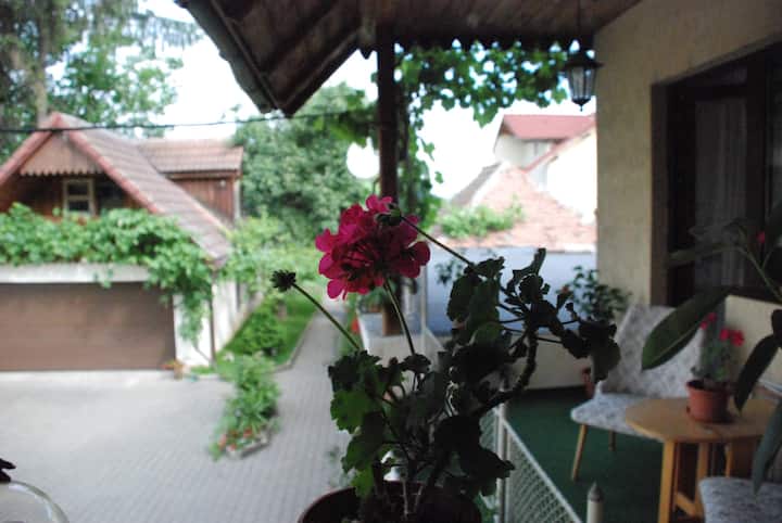 Saxon House&garden - Half Villa - Sibiu