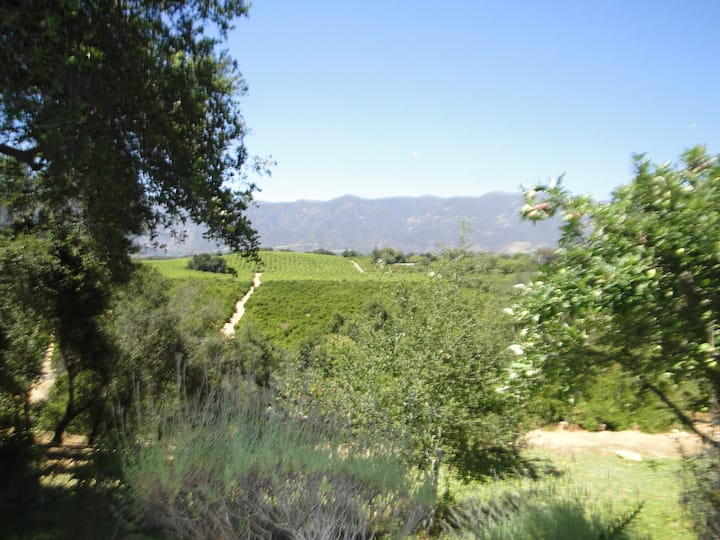 Valley Meadow With Magnificent View - Ojai, CA
