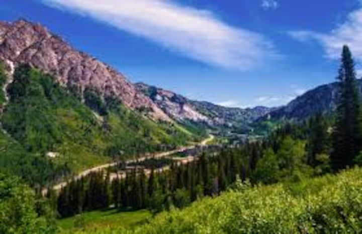 Amazing Mountain Views Utah Close To Ski & Canyons - Sandy, UT