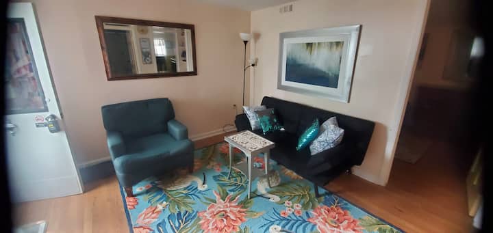 First Floor Apt With No Steps Near Everything. - Syracuse, NY