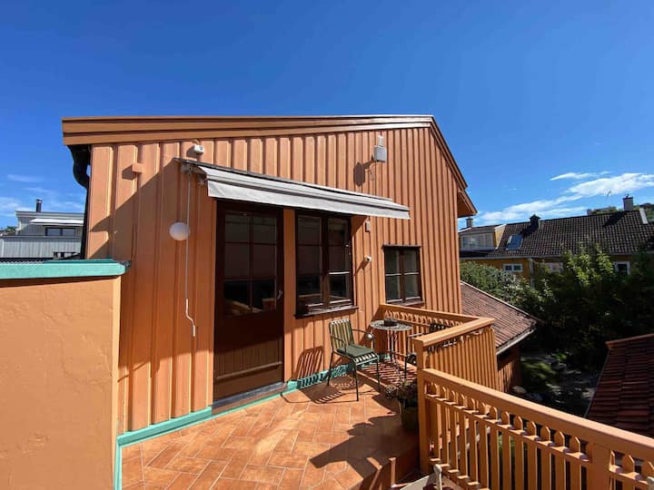 Stor Flott Enebolig Med Hage, Terasse, Sauna M.m - Oslo