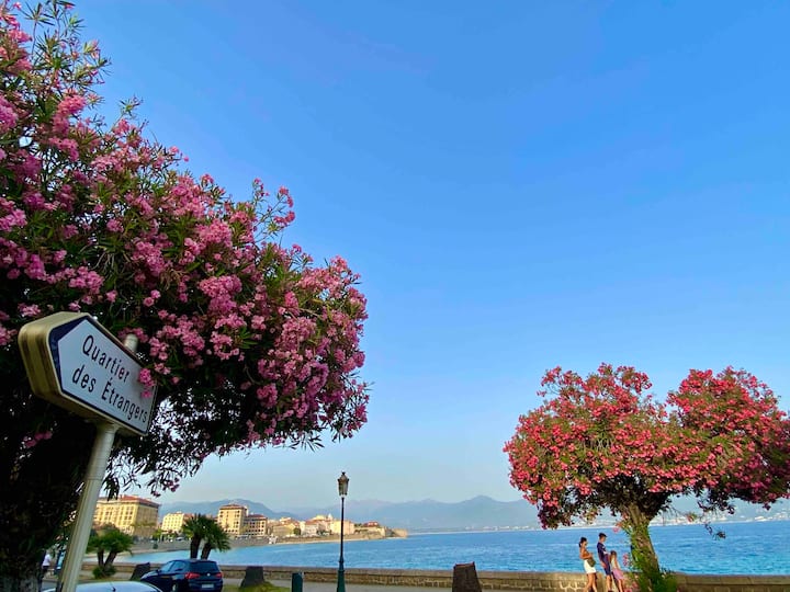 Ajaccio : Appartement De Grand Standing Vue Mer. - Ajaccio