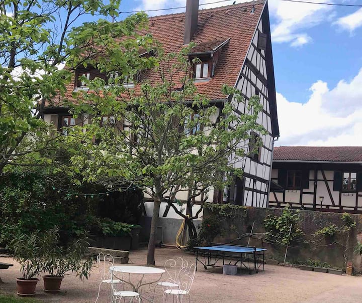 Le Romantique Sur Route Du Vin 25 Km De   Colmar - Château du Haut Koenigbourg
