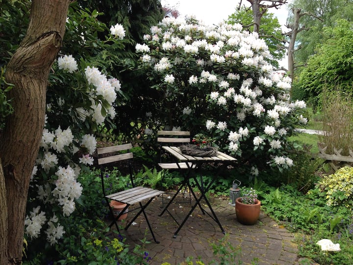 Ferienwohnung Am Lühedeich - Grünendeich