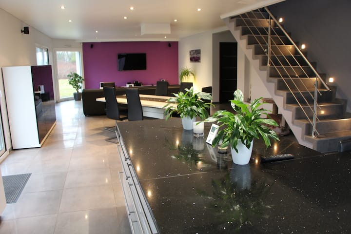 Grande Villa De Luxe Proche De Colmar - Mulhouse