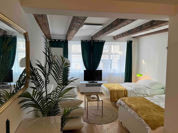 Apartment In The Heart Of Basel - Basel