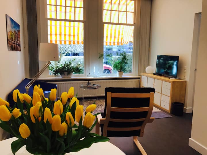 Private New 2 Room Appartment City Center Alkmaar - Alkmaar