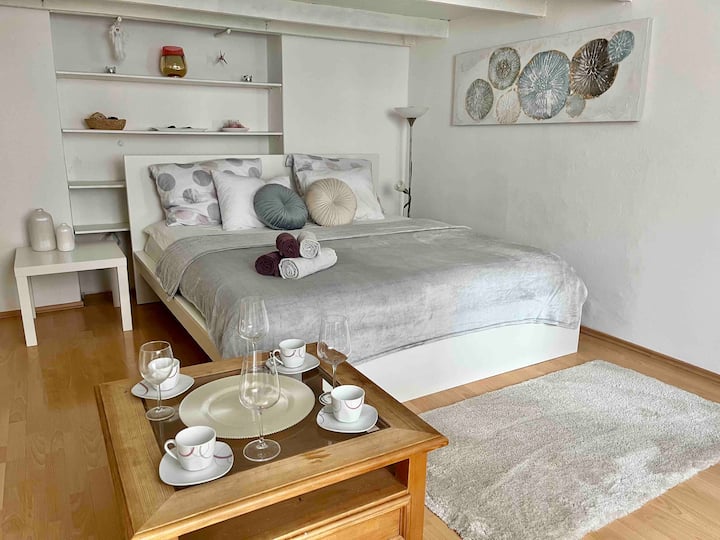 Calm Studio By River Port - 10min Historic Centre - Prague