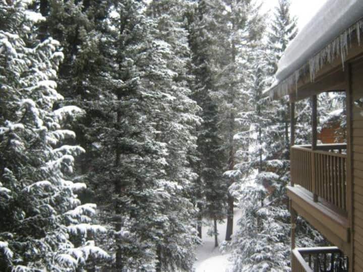 Great Condo Right On The Creek License #005702 - Winter Park, CO