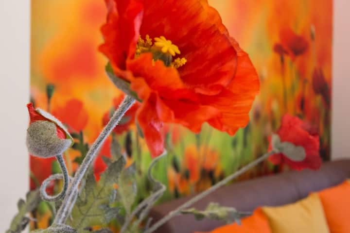 Karakaralis - Cagliari