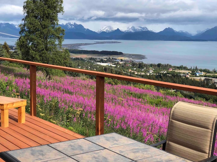 Suite View- 800sf + Lg Deck With Incredible View - Homer, AK