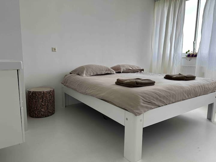 Room Near City Center / Tu Delft - Vlaardingen