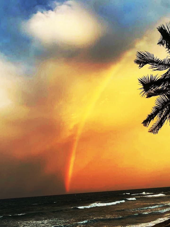 Ocean Front Dorado- Kikita Beach Apartment - Dorado