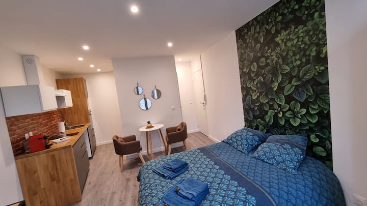 Studio Cosy Jungle - Auxerre